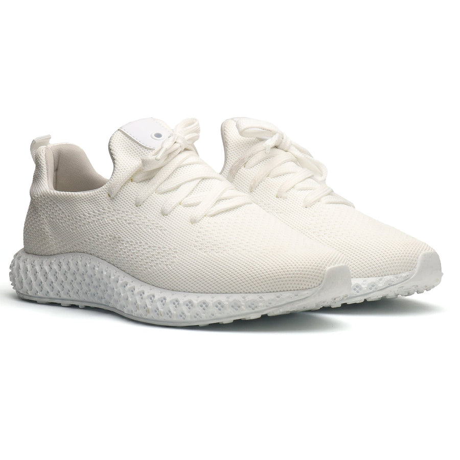 Tamboga | Best Price in 2024 at ROYAL STEP