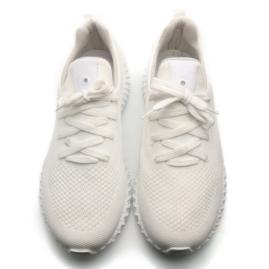 Tamboga | Best Price in 2024 at ROYAL STEP